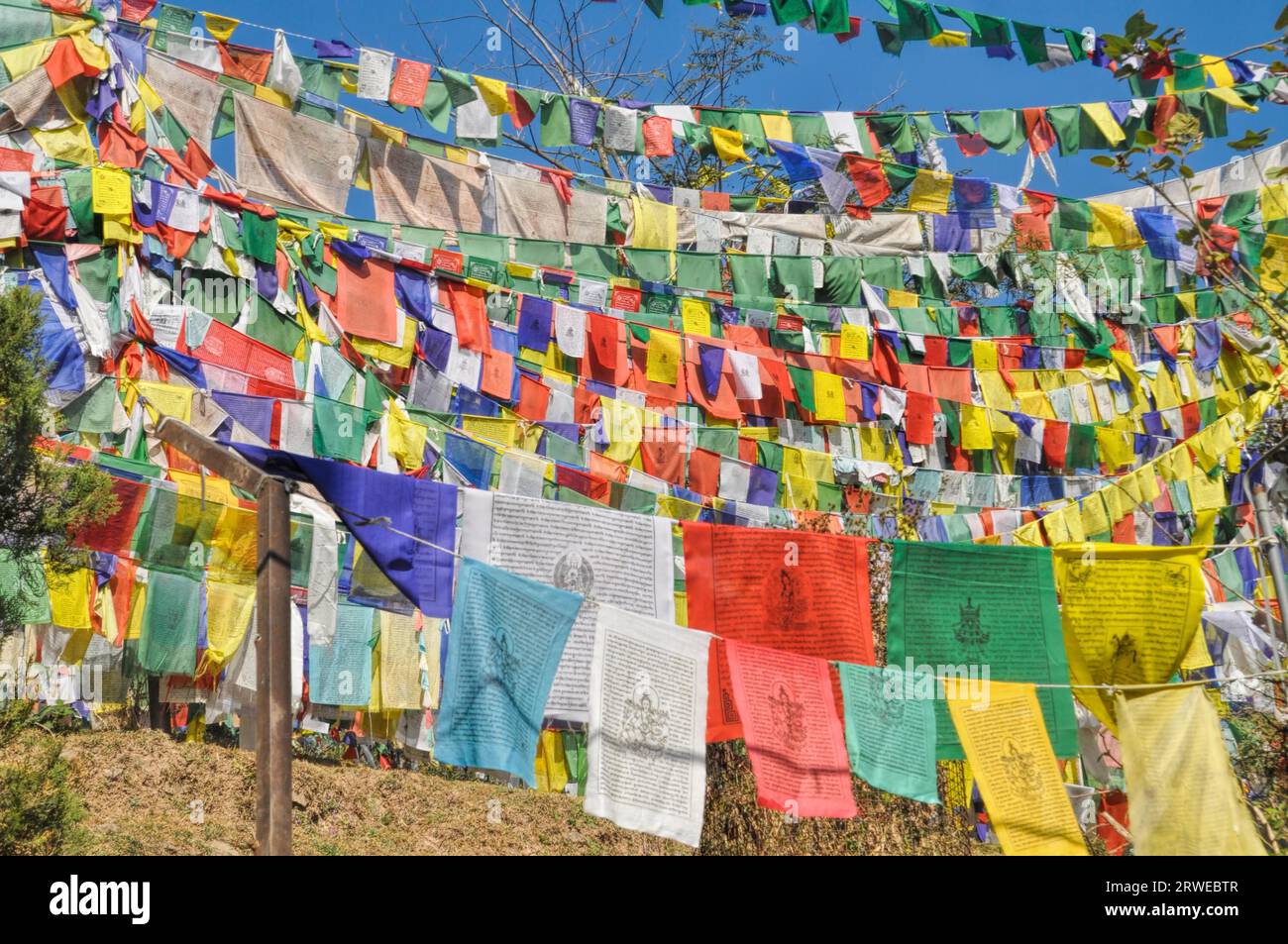 Colorful buddhist prayer flags in town of Dharamshala, India Stock ...