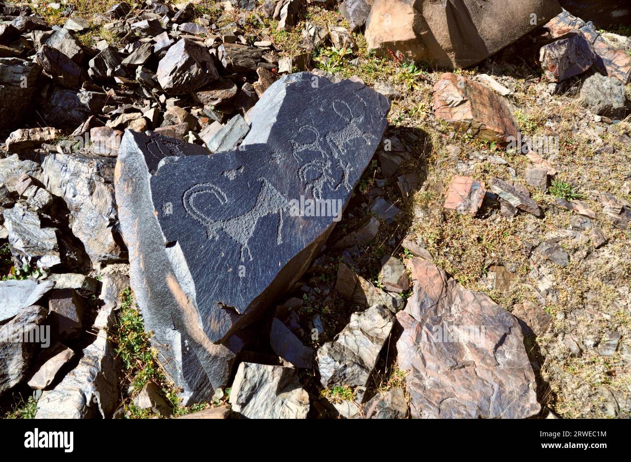Ancient pictograms engraved on rock on Saimaluu Tash site in Kyrgyzstan ...