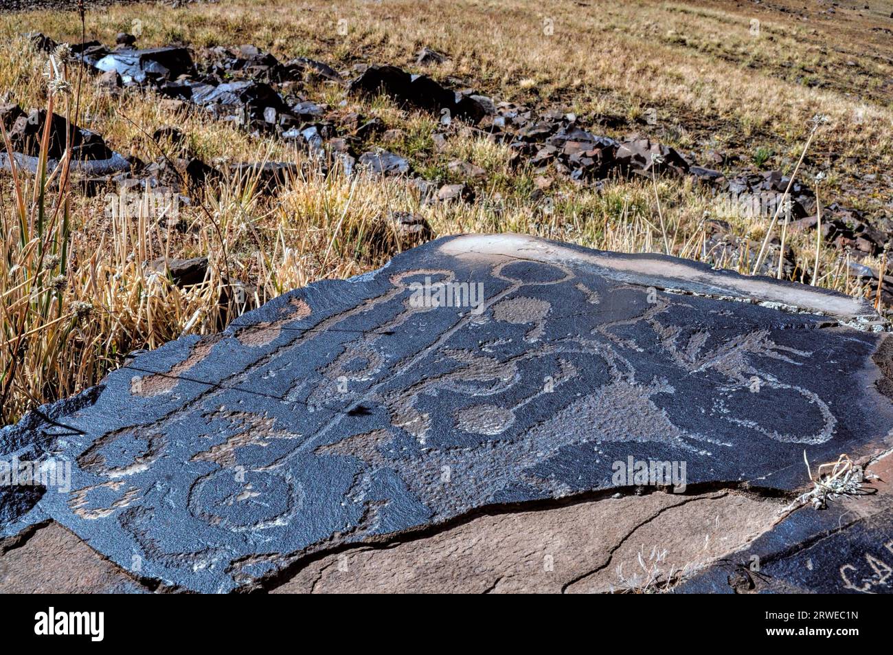Ancient pictograms engraved on rock on Saimaluu Tash site in Kyrgyzstan ...