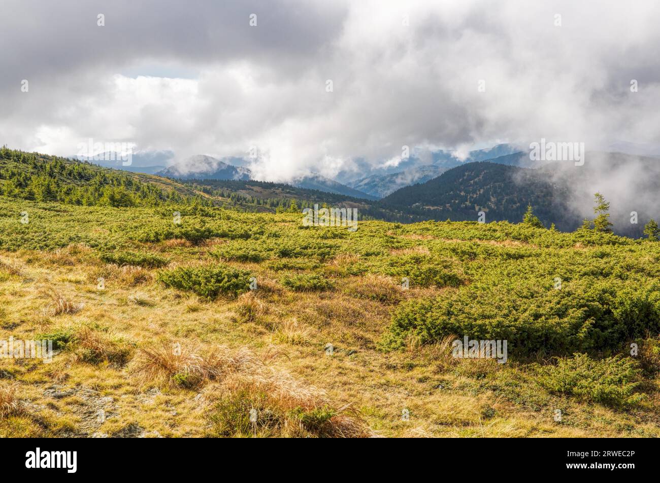Scenic view of the Ukraine's highest mountain, Hoverla Stock Photo - Alamy