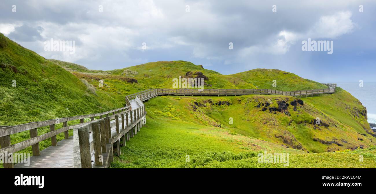 Phillip island seal rocks hi-res stock photography and images - Alamy