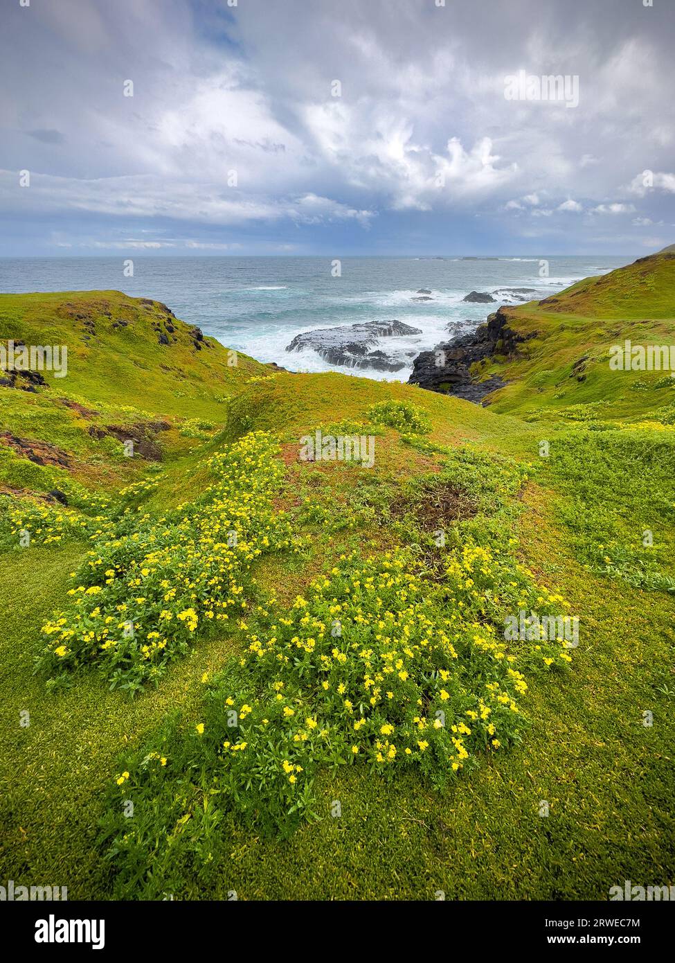 Dramatic views of The Nobbies on Phillip Island, Victoria, Australia ...