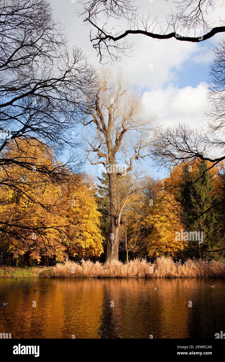 Warsaw landscape hi-res stock photography and images - Alamy