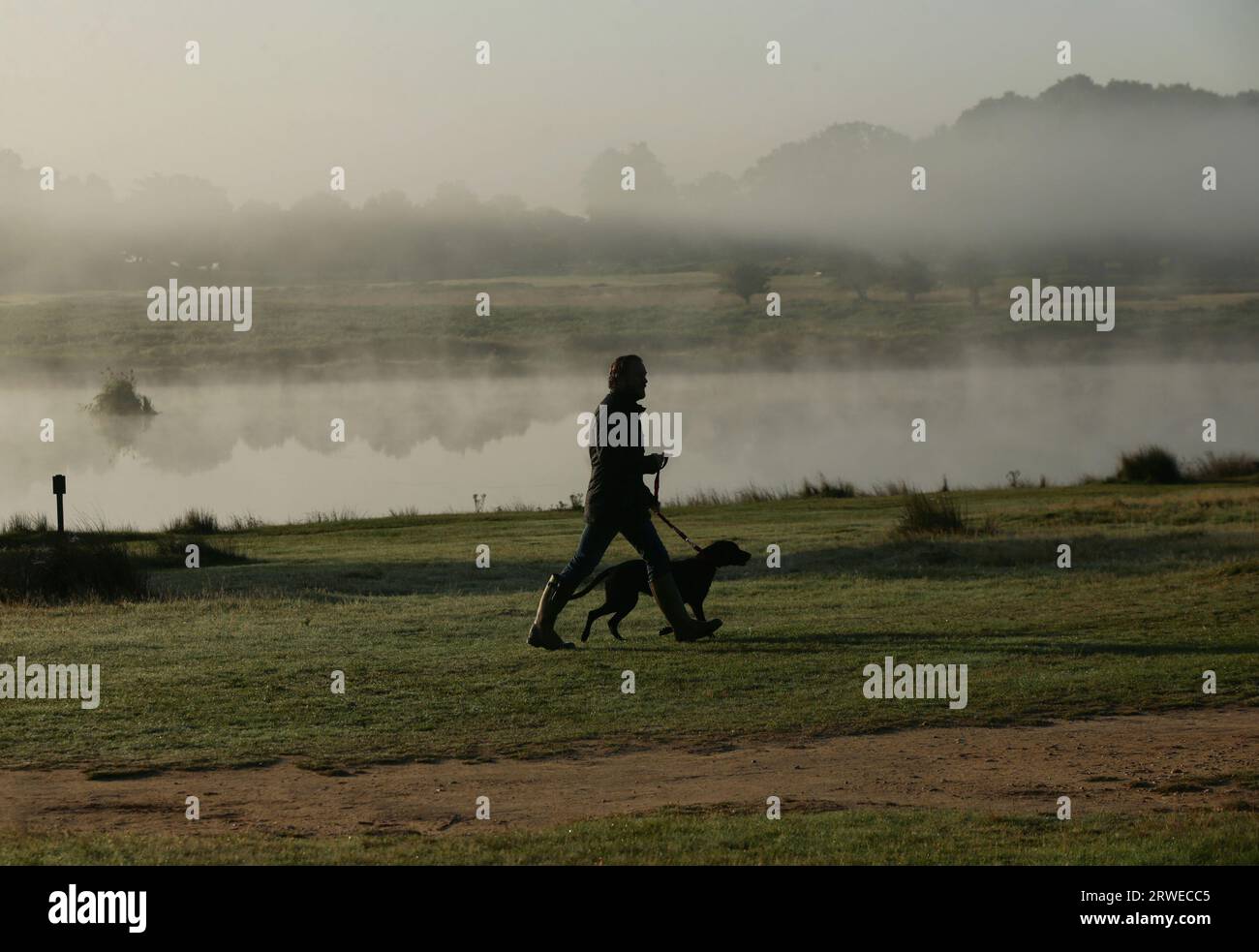 PA file photo of a man walking a dog in a park. See PA Feature IRISH ...