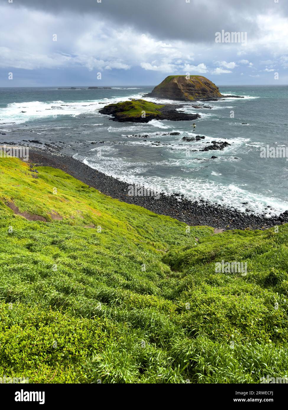 Seal rocks australia hi-res stock photography and images - Alamy