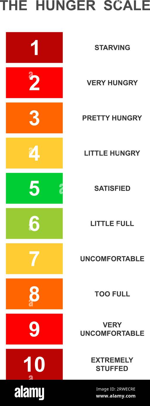 Vertical hunger scale. Food fullness level. Ghrelin and leptin balance ...