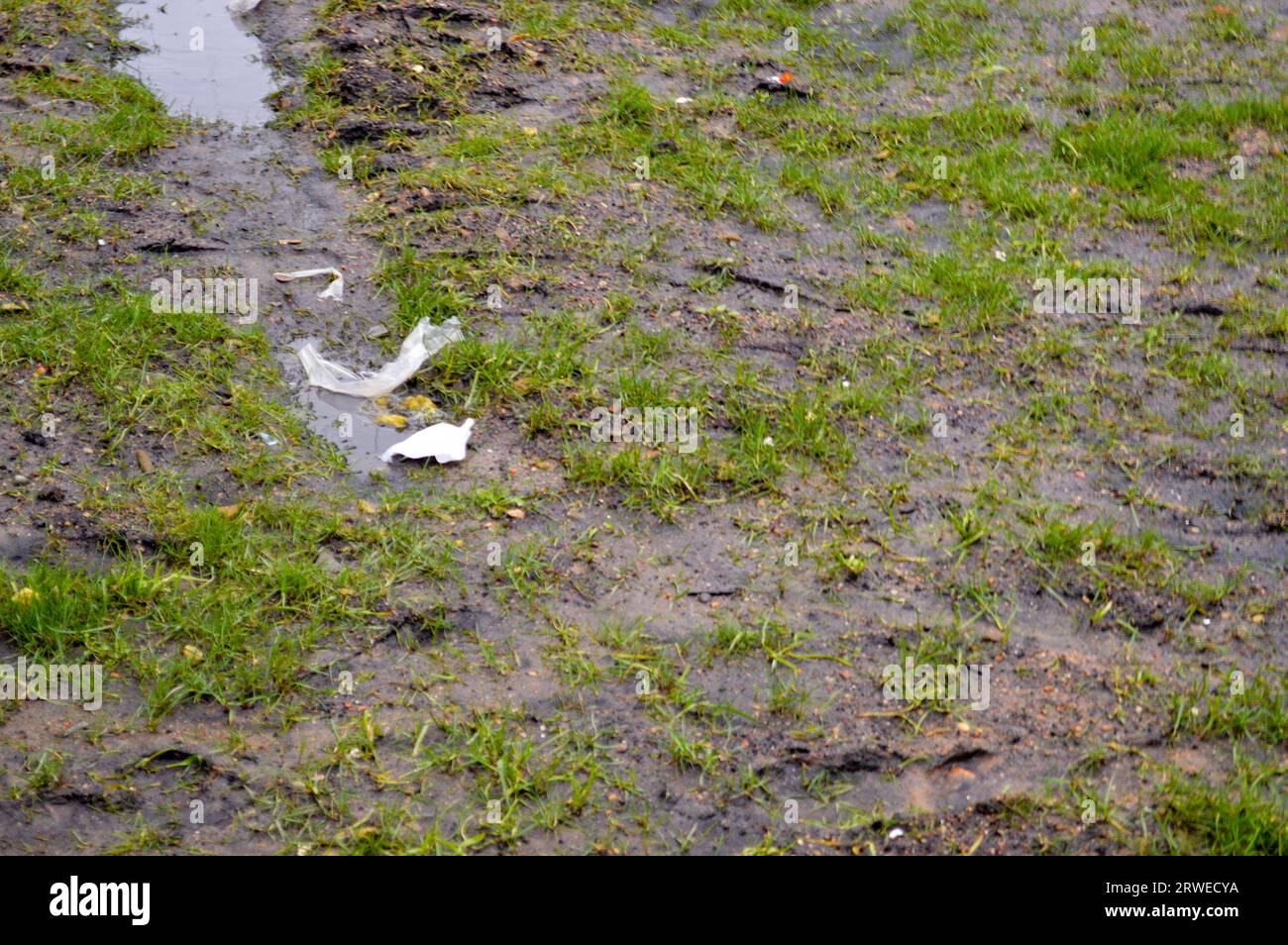 View of green ecologically clean green grass littered with garbage and ...
