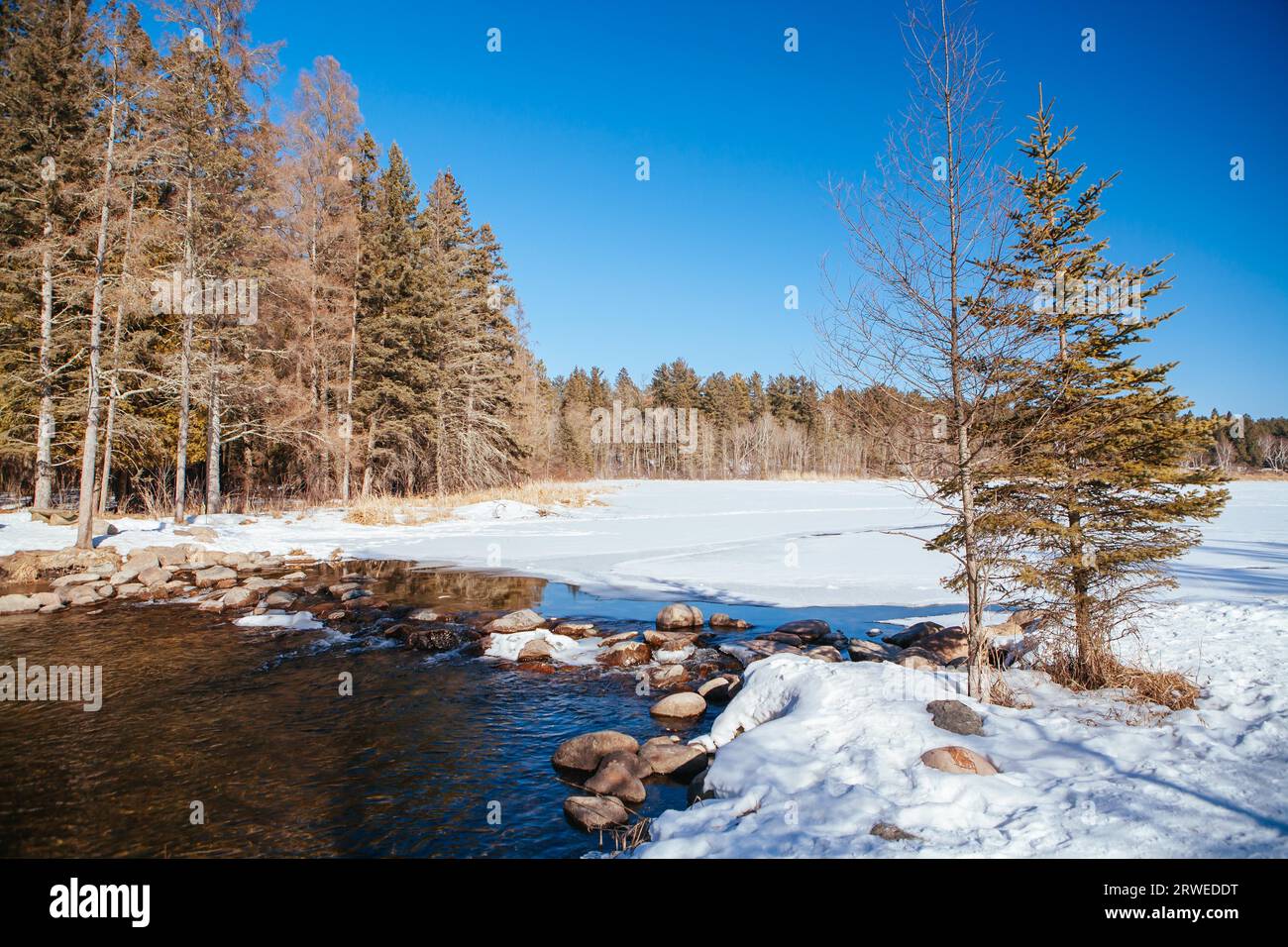 The Mississippi headwaters during spring, located in Itasca State Park ...