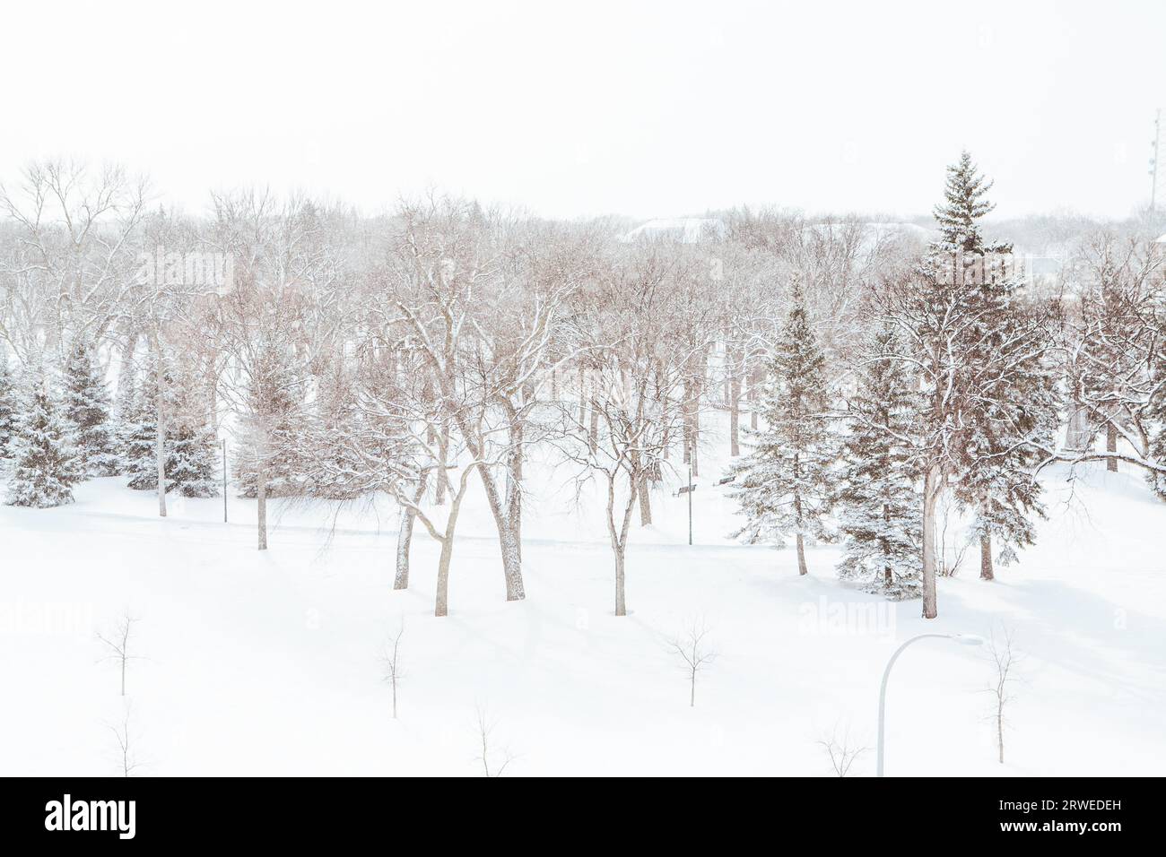 Island Park in Downtown Fargo covered in snow after a storm in North ...