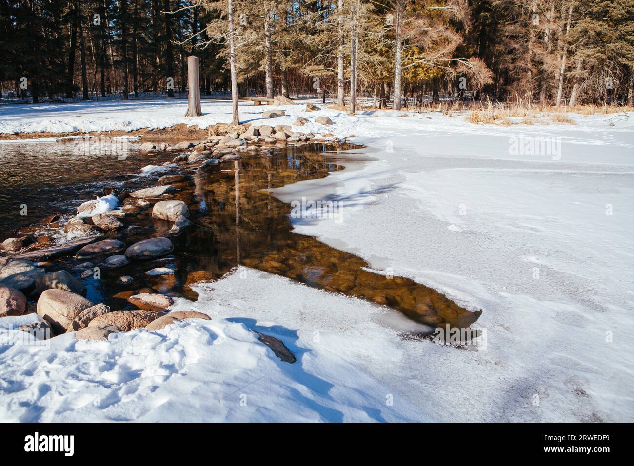 The Mississippi headwaters during spring, located in Itasca State Park ...