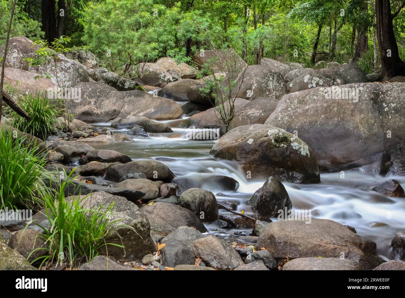 Cascade in the rainforest, Jourama Falls, Paluma Range National Park ...