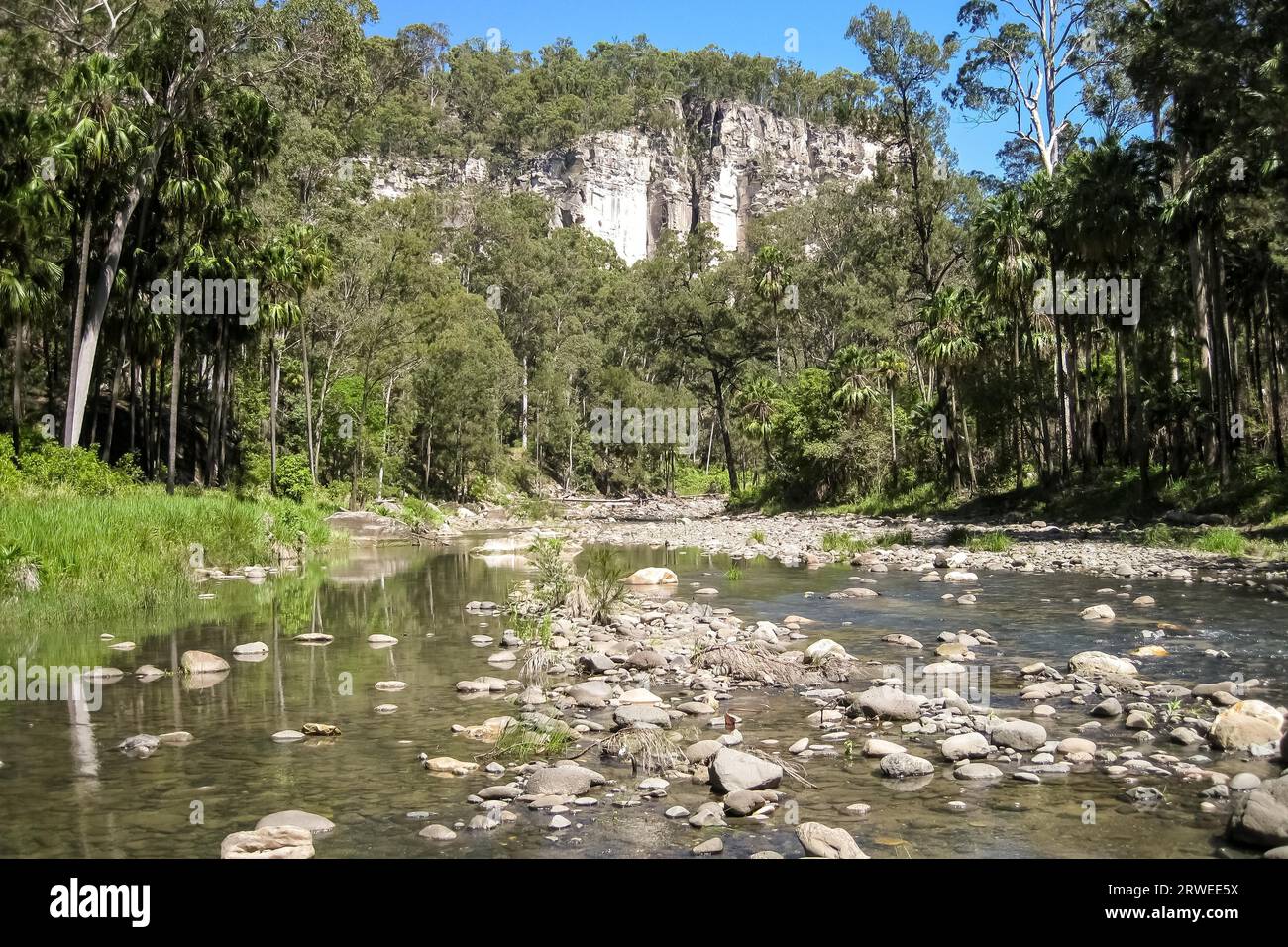 Carnarvon Creek with towering walls, Carnarvon Gorge, Queensland ...