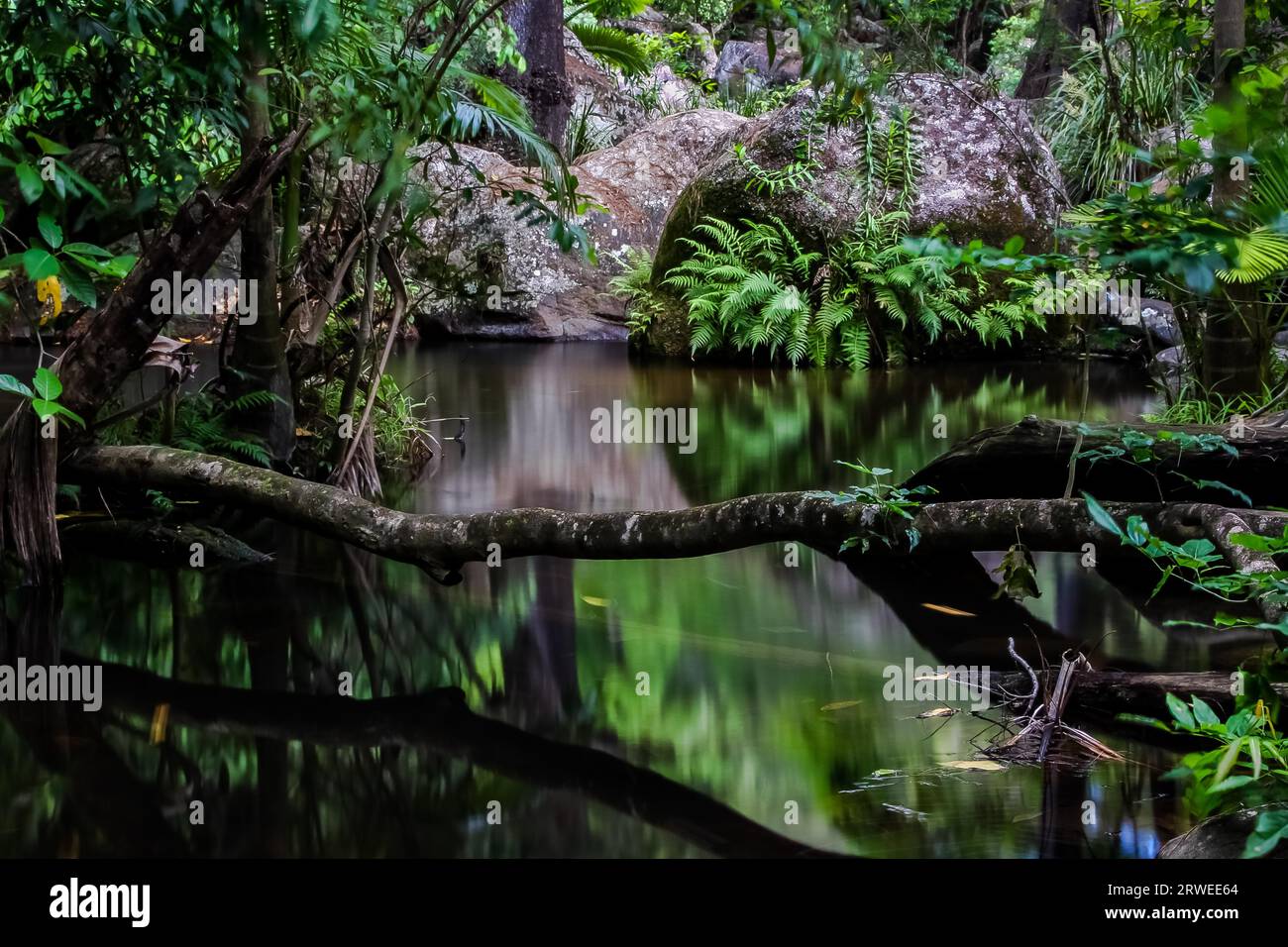 Peaceful pool with mirror reflections, Jourama Falls, Paluma Range ...