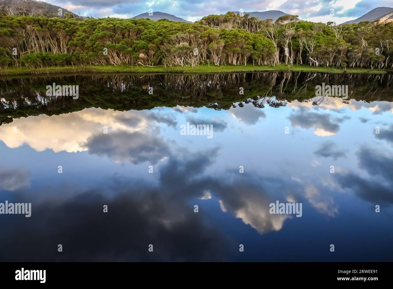 Reflections in Tidal River, Wilsons Promontory National Park, Victoria ...
