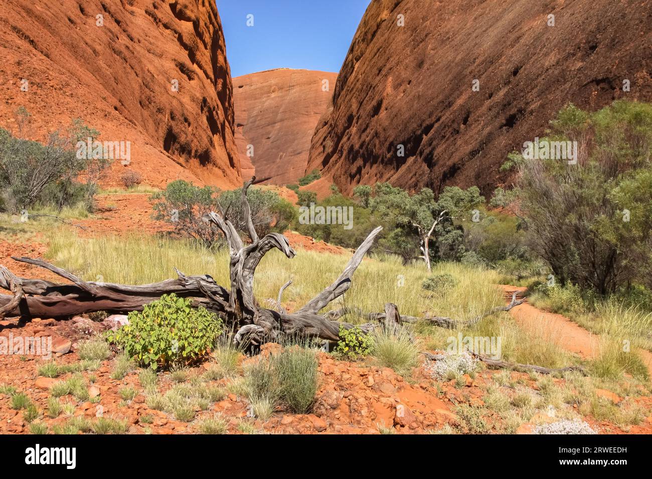 The red centre australia hi-res stock photography and images - Alamy