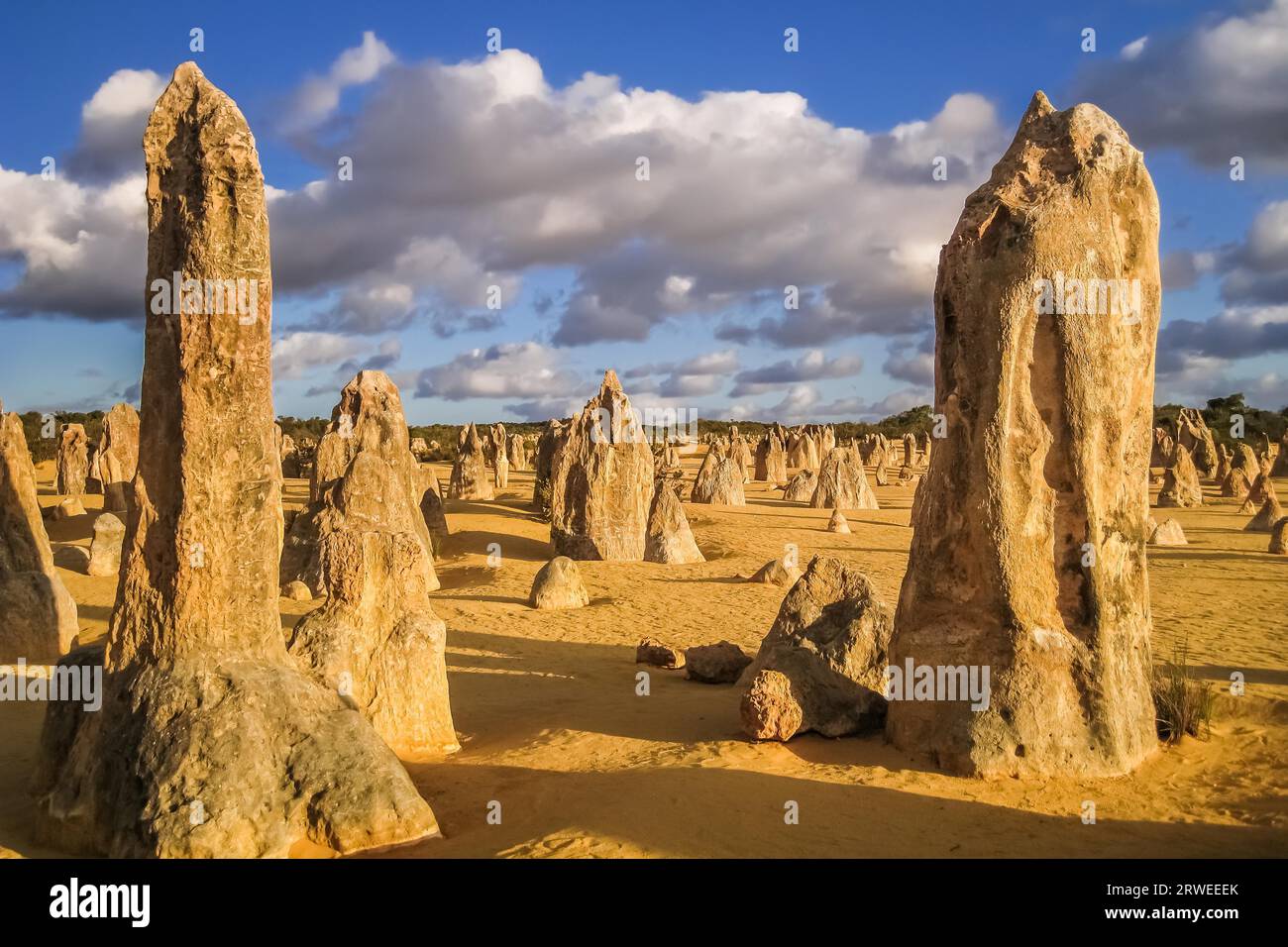 Bizarre rock formations The Pinnacles in late afternoon light, Nambung ...