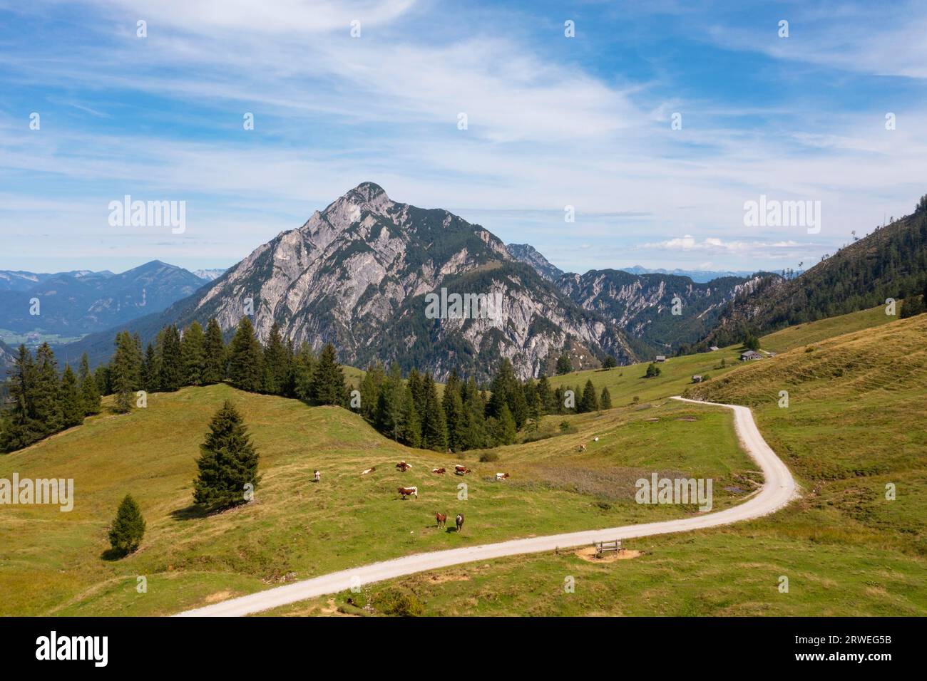 Alpine pasture area on the Postalm with Rinnkogel, Osterhorn Group ...