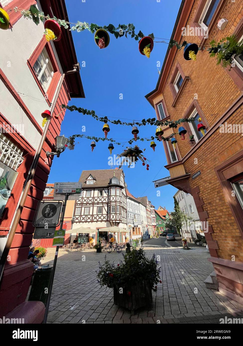 Half-timbered houses, old town, centre, Romantic Road, Tauber Valley ...