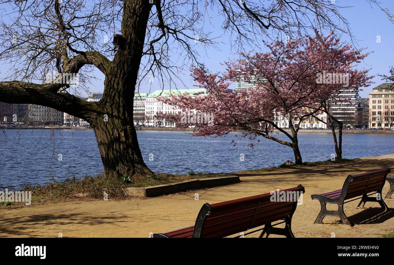 Inner alster lake spring hi-res stock photography and images - Alamy