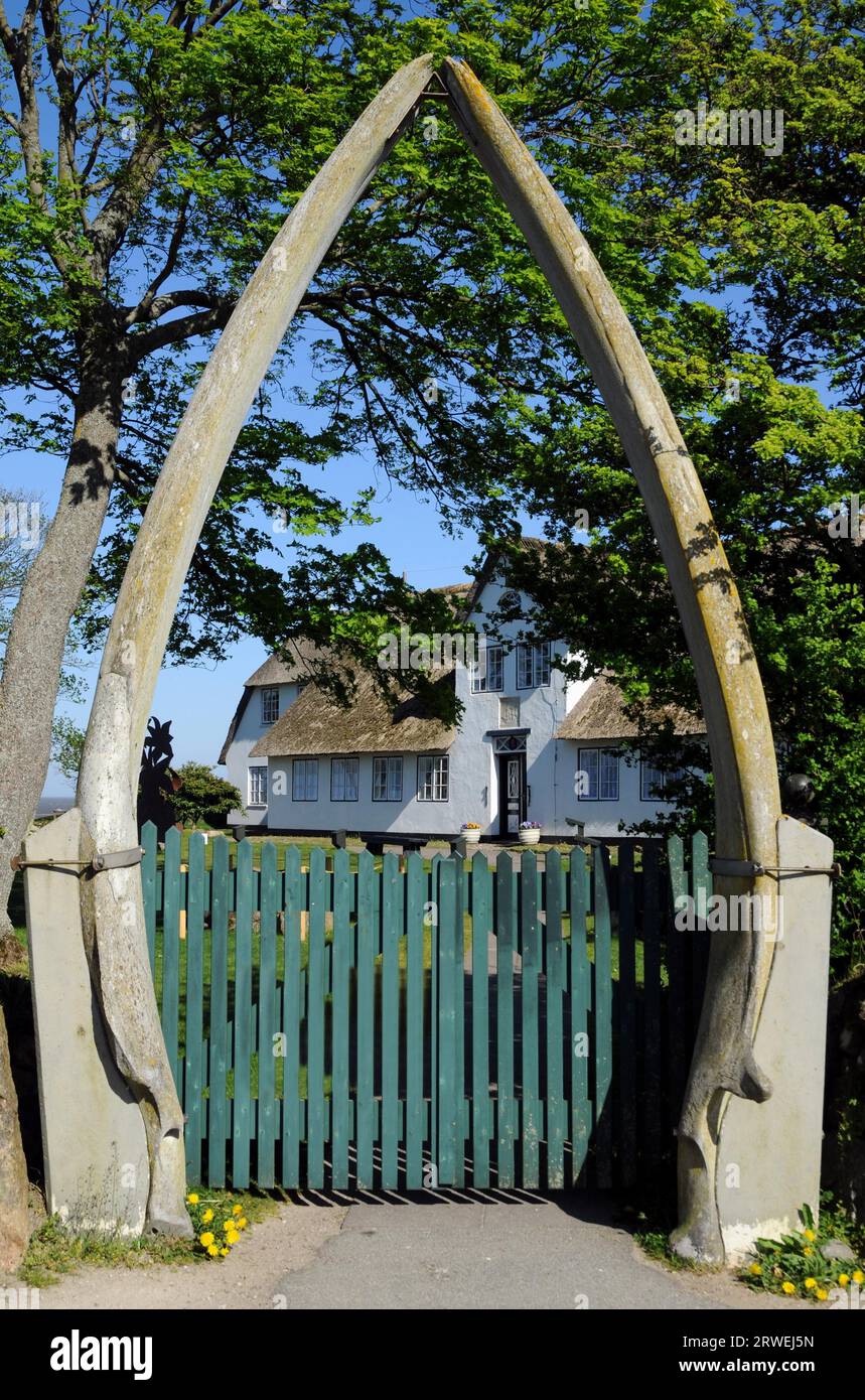 The whale building hi-res stock photography and images - Alamy