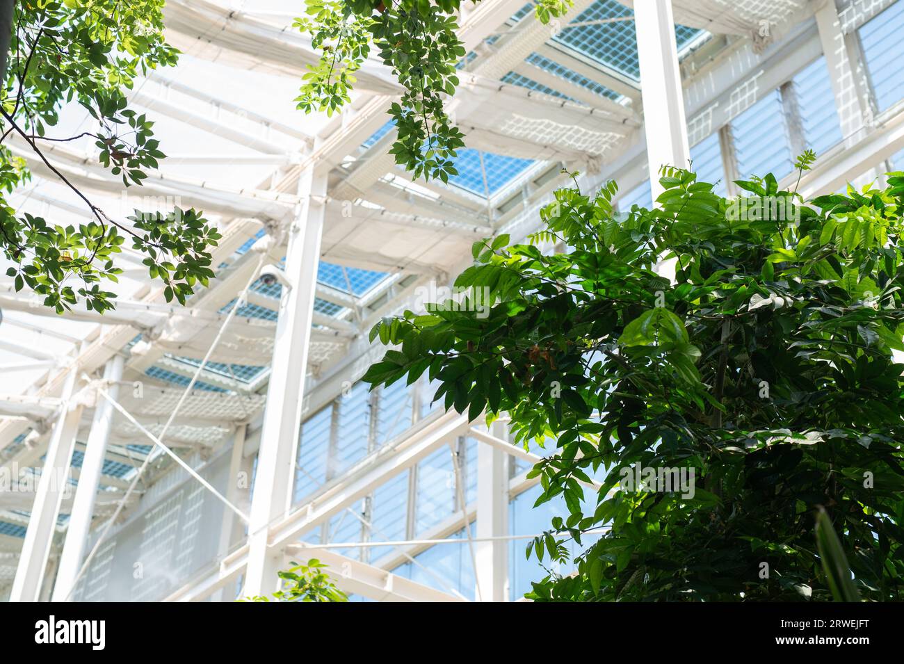 Greenhouse building botanical garden of Padua Italy Stock Photo - Alamy
