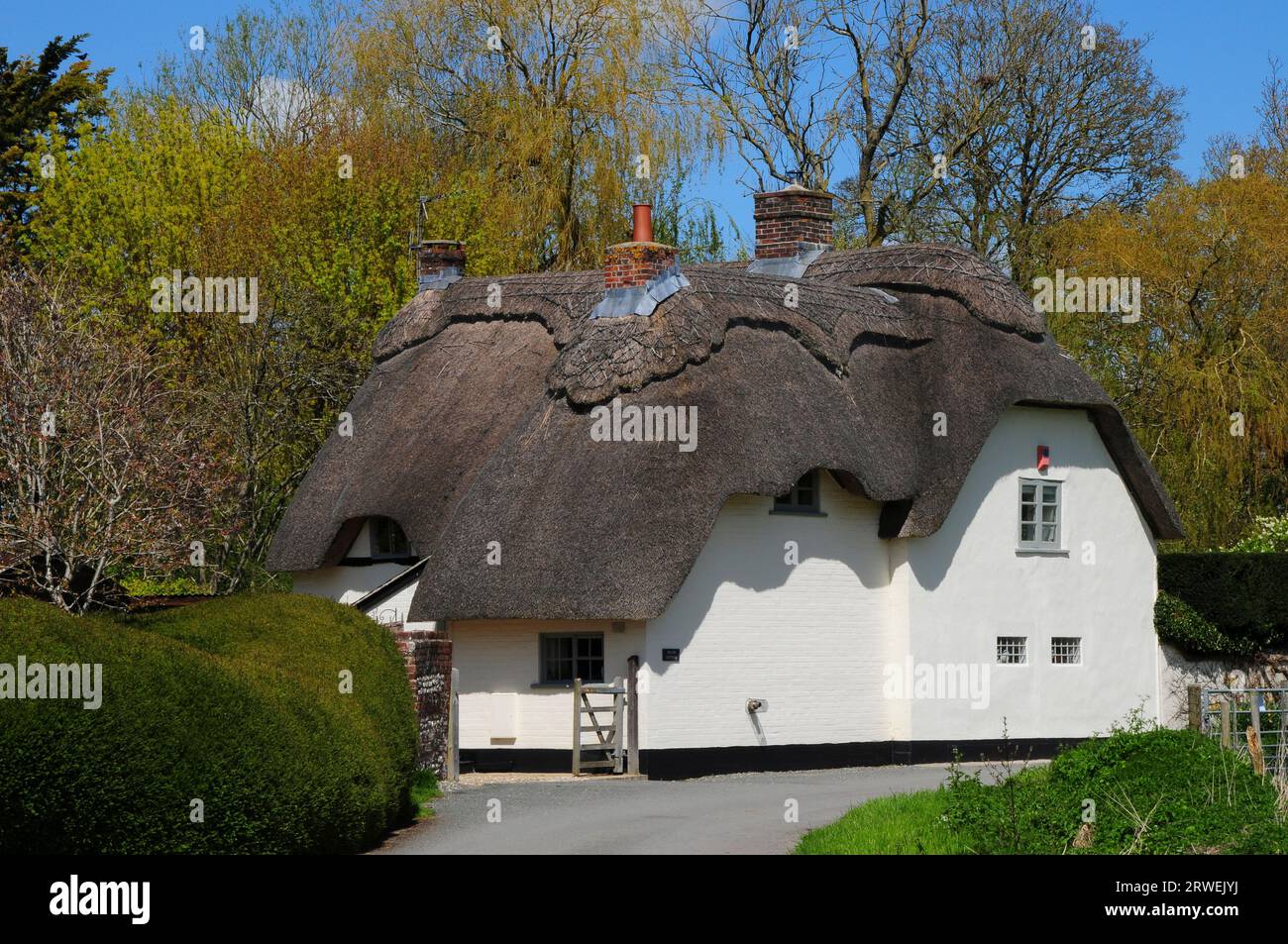 Thatched cottage in Tarrant Monkton village in Dorset, UK Stock Photo ...