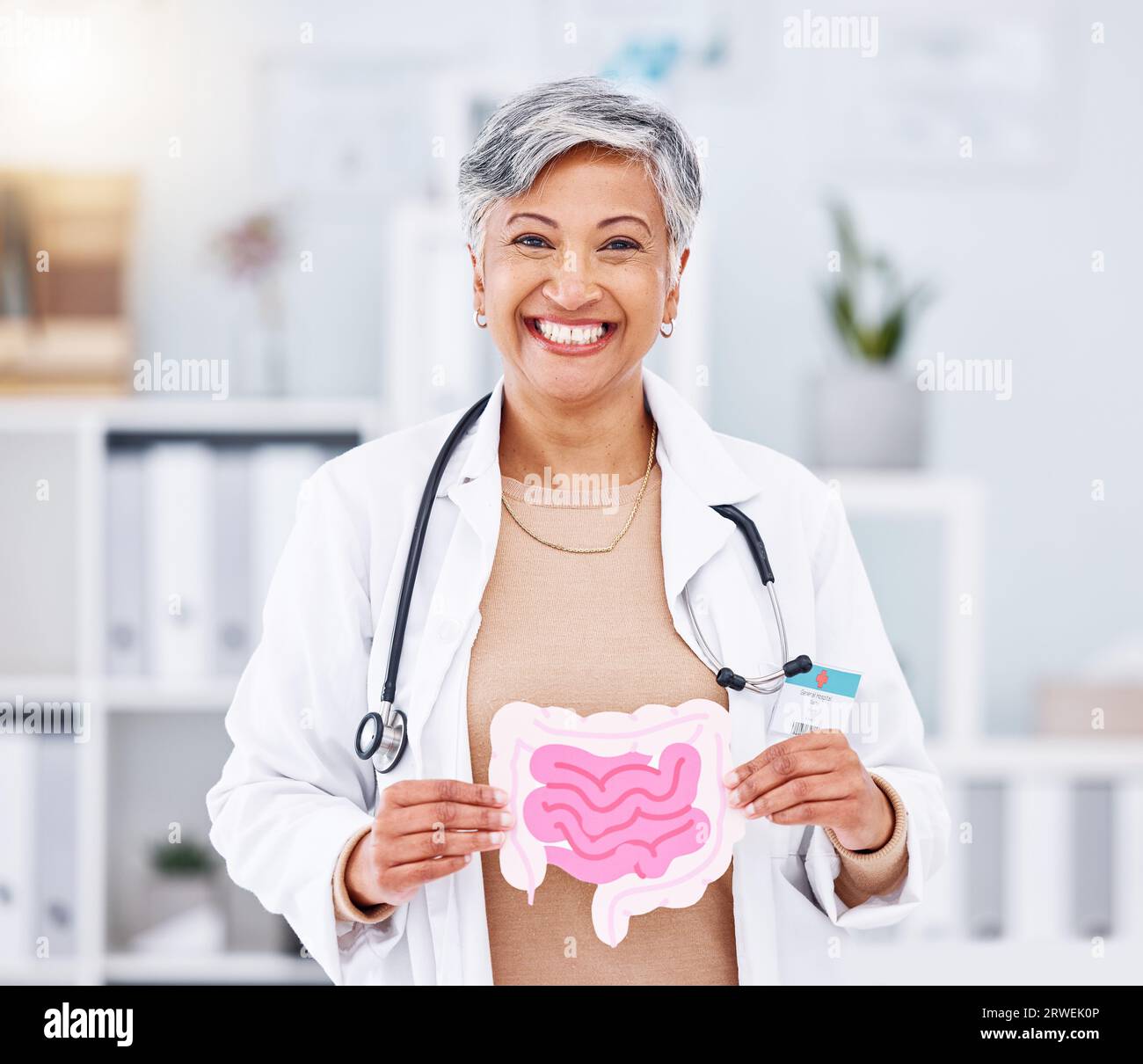 Portrait, doctor and mature woman with intestine model in hospital ...