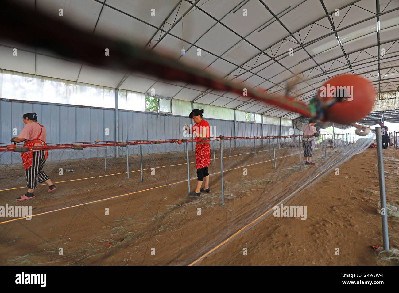 Crab processing hi-res stock photography and images - Alamy