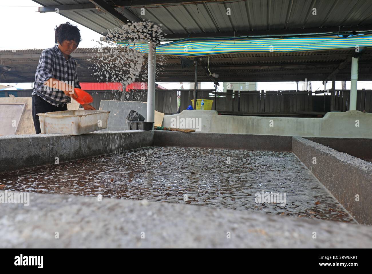 Salt processing plant hi-res stock photography and images - Alamy