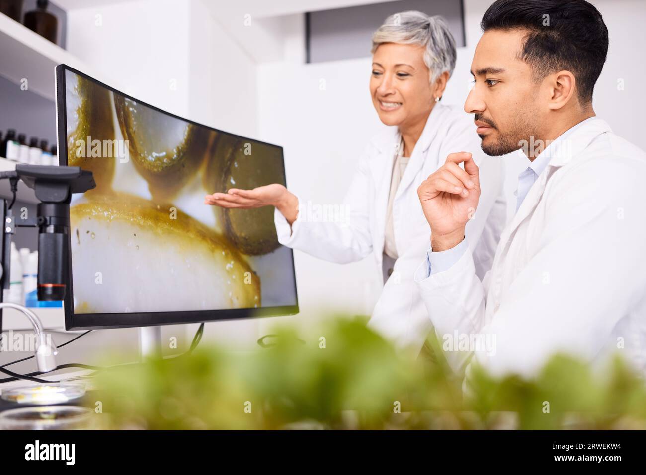 Teamwork, screen or scientists with plant for research, lab test or ...