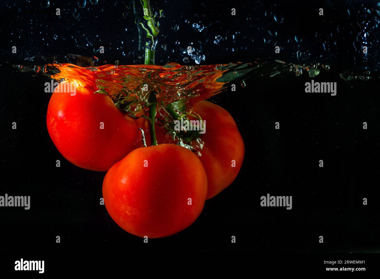 Fresh red tomato falling into water with water splash and air bubbles ...