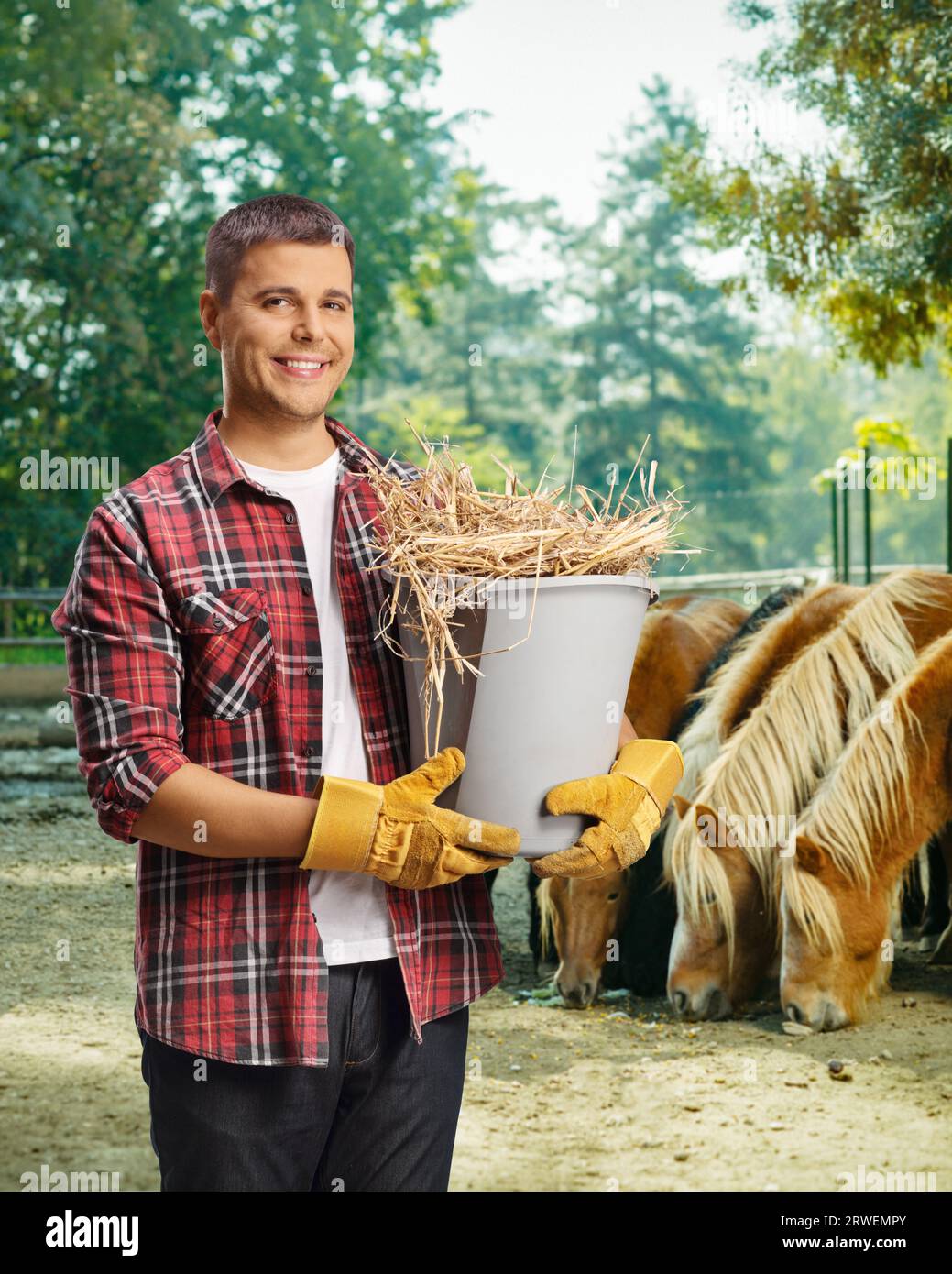Farmer holding a bucket with hay on a horse farm Stock Photo - Alamy