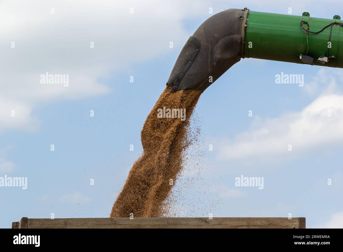 Combine harvester unloading wheat hi-res stock photography and images ...