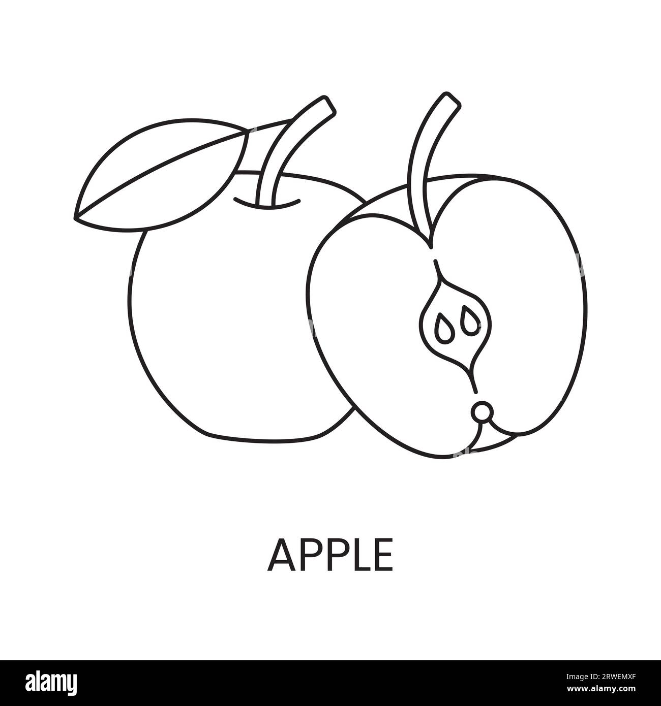 Apple line icon in vector, fruit illustration Stock Vector Image & Art ...