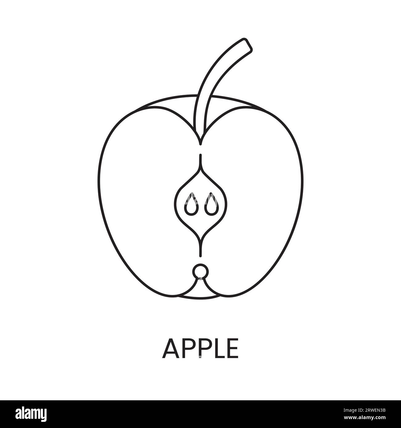 Apple line icon in vector, fruit illustration Stock Vector Image & Art ...