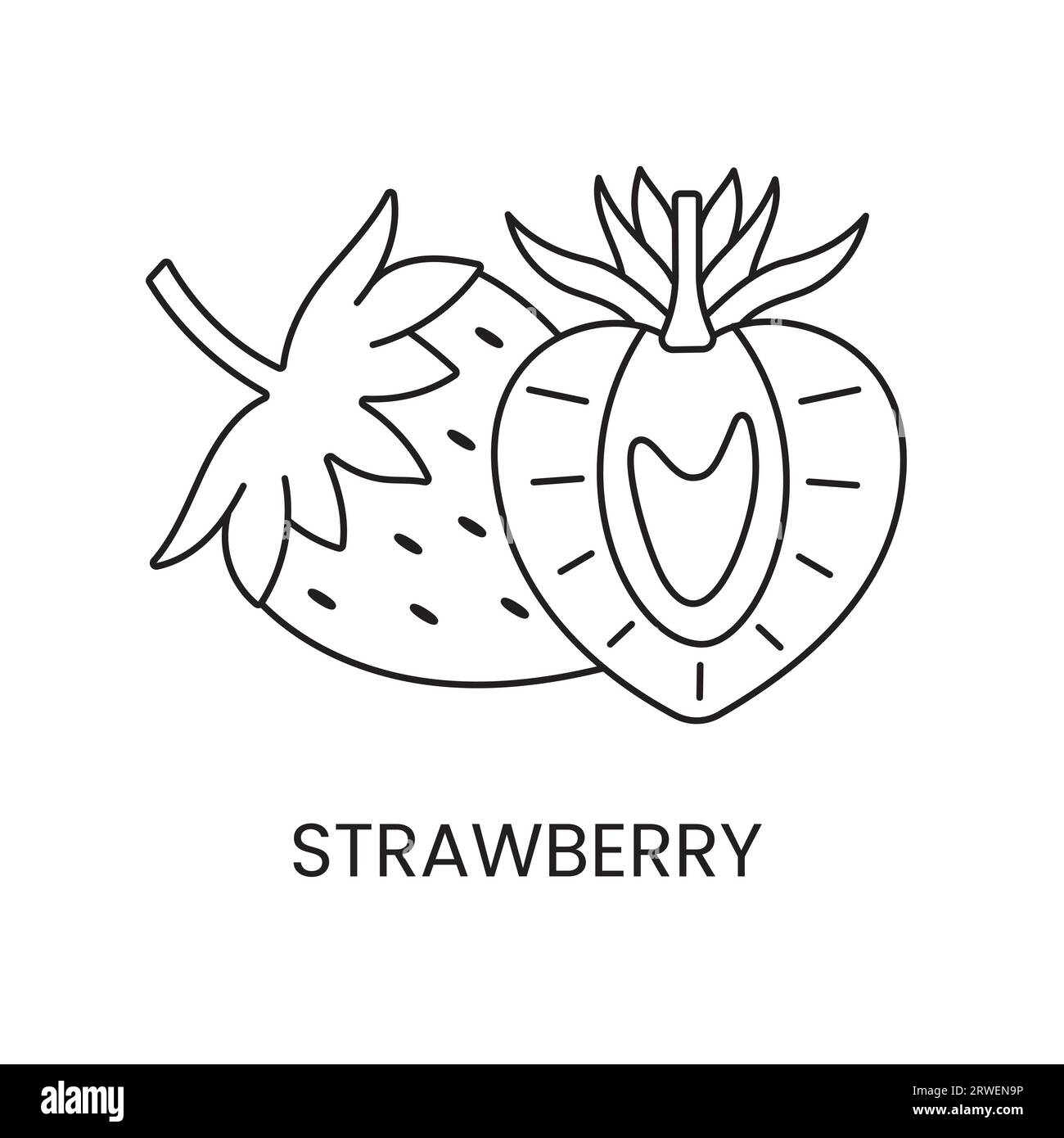 Strawberry line icon in vector, berry illustration Stock Vector Image ...