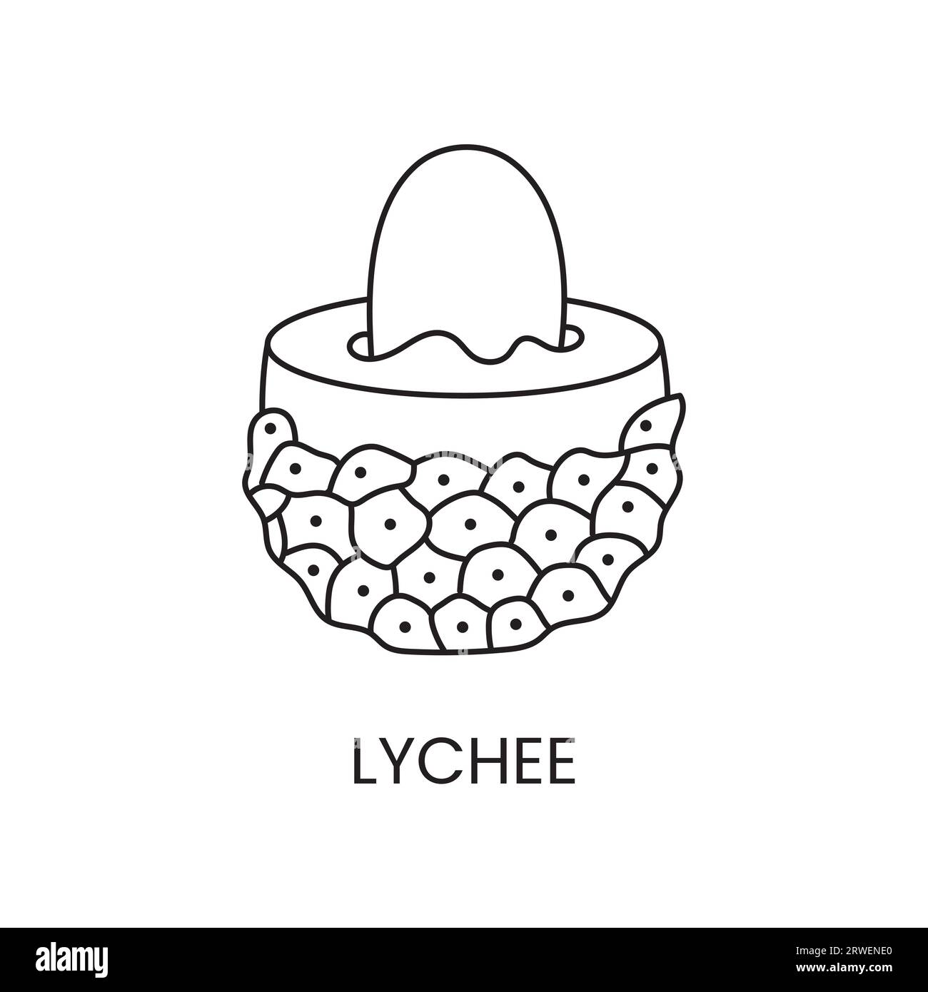 Lychee Black and White Stock Photos & Images - Alamy