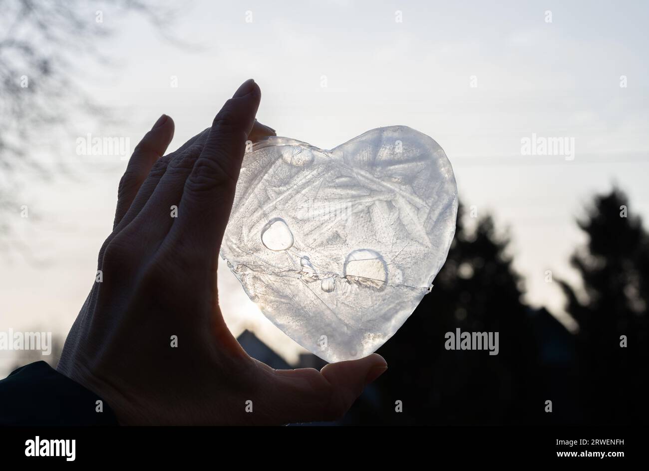 icy heart in hand in backlight. Love Winter. A symbol of love, a winter ...