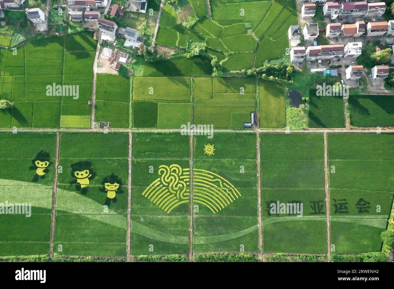 Aerial photo shows the Asian Games themed paintings on a rice field in ...
