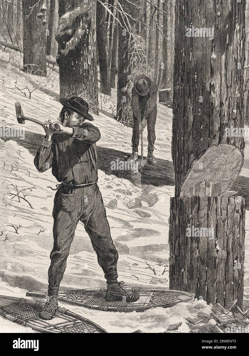 19th century logging hi-res stock photography and images - Alamy