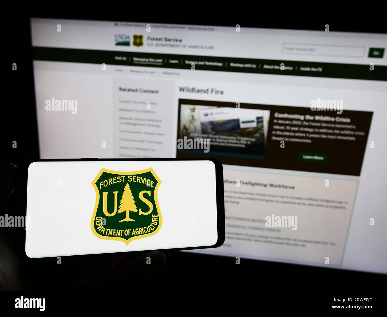 Person holding mobile phone with logo of United States Forest Service ...