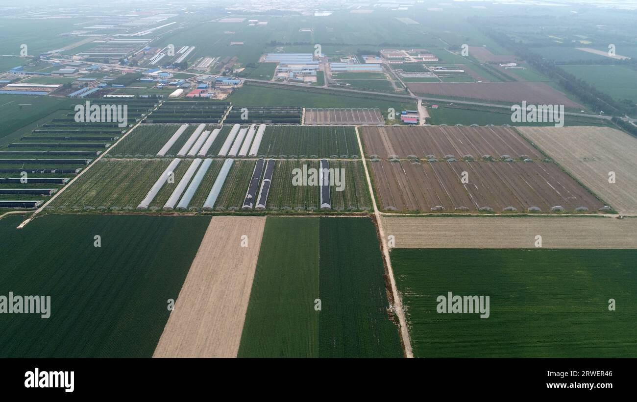 Pastoral scenery of North China Plain Stock Photo - Alamy