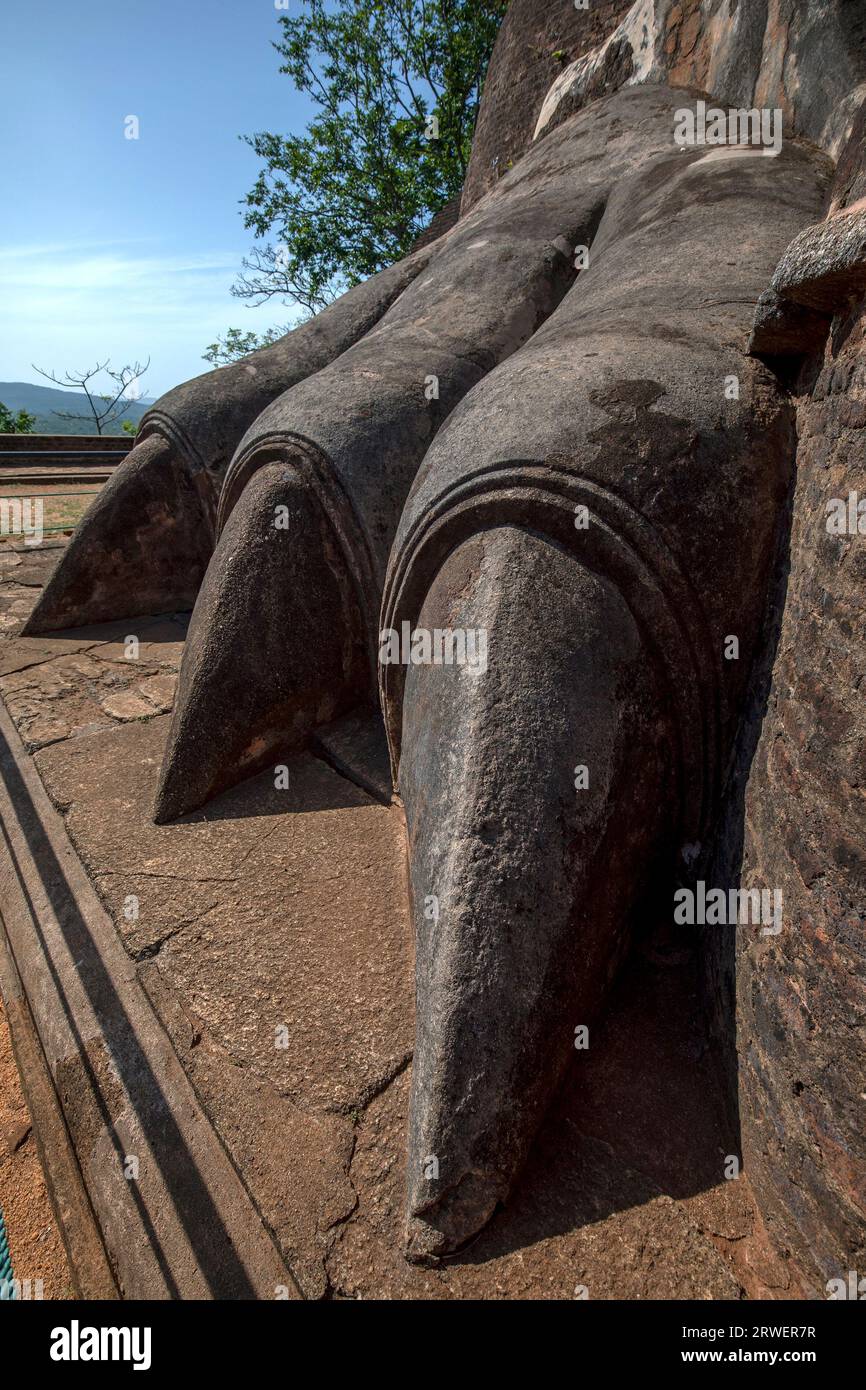 One of the stone carved paws on the Lion Platform at Sigiriya Rock ...