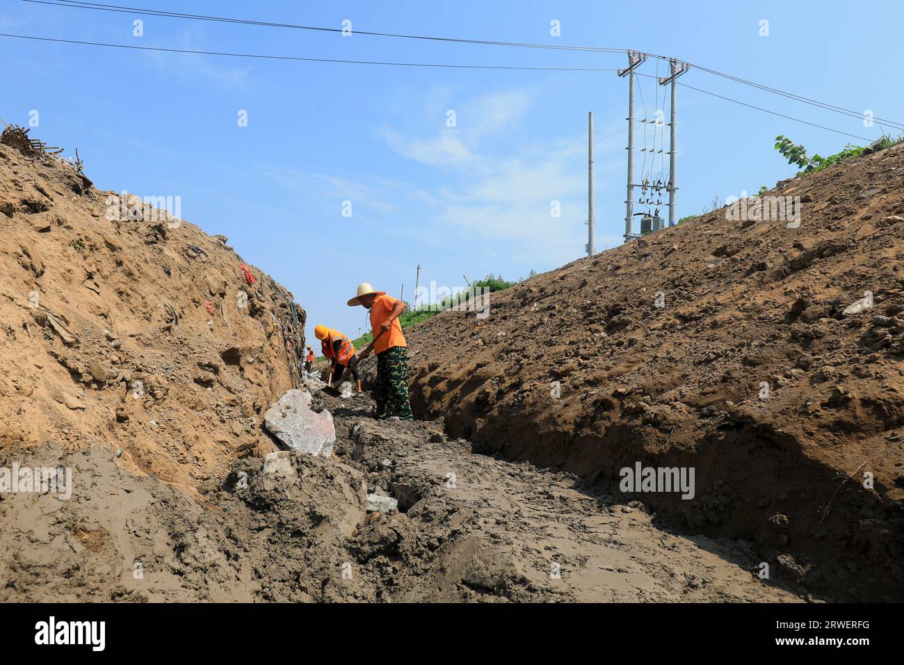 Protection foundation hi-res stock photography and images - Alamy