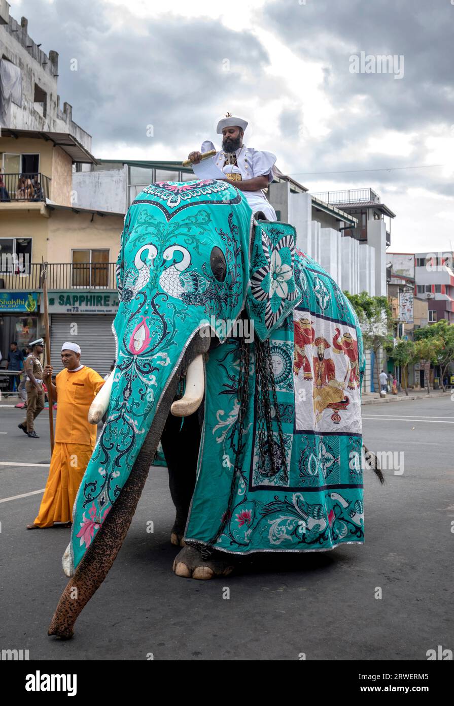 The Front Runner or Peramununerala mounted on a Tusker elephant reads ...