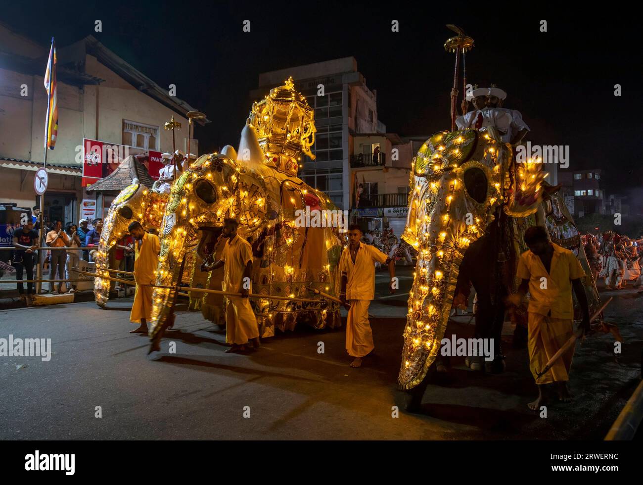A group of ceremonial elephants parade along a street.at Kandy in Sri ...