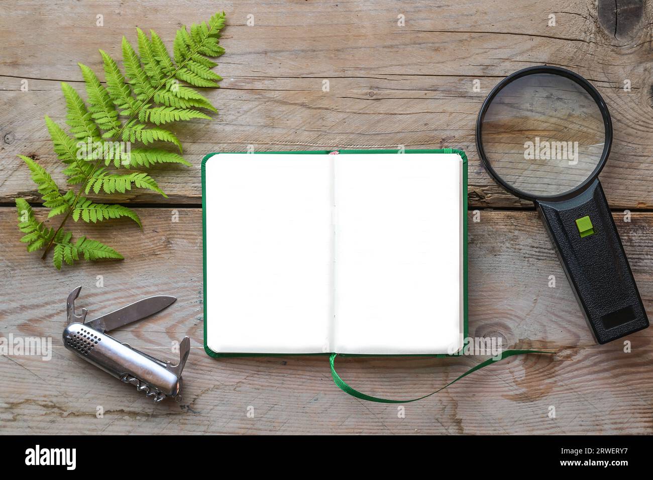 Blank notebook as mock up, fern frond, magnifying glass and a pocket ...