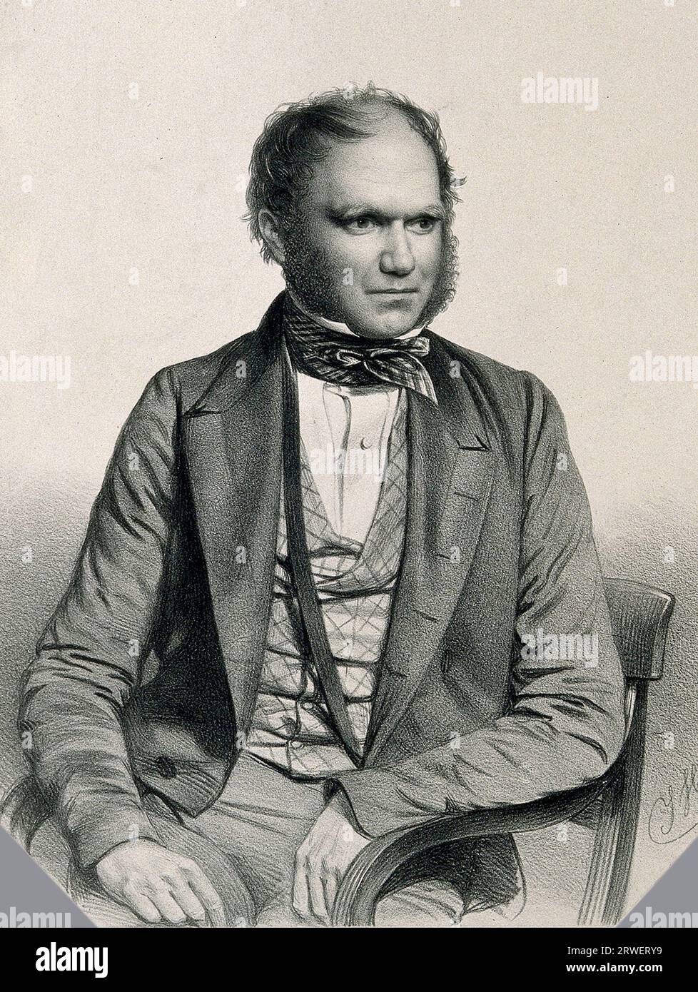 Darwin theory of evolution illustration hi-res stock photography and ...