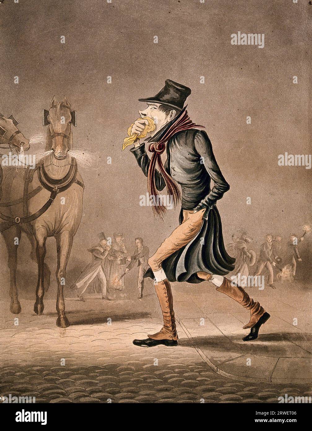 Snorting horses hi-res stock photography and images - Alamy