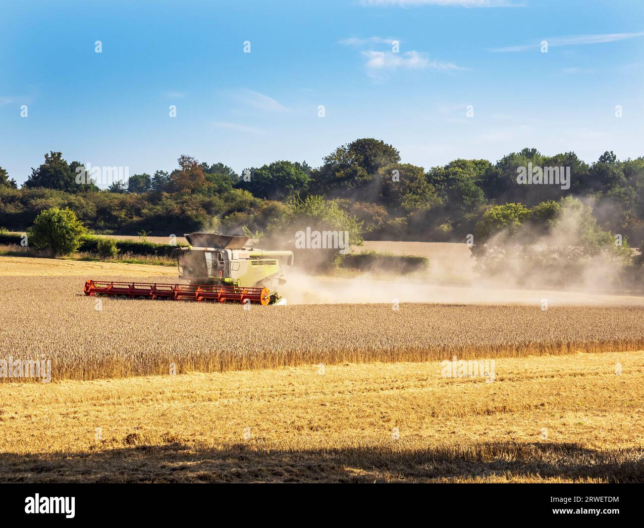 A farmer harvesting a field of wheat in Cley Next the Sea, Norfolk, UK ...
